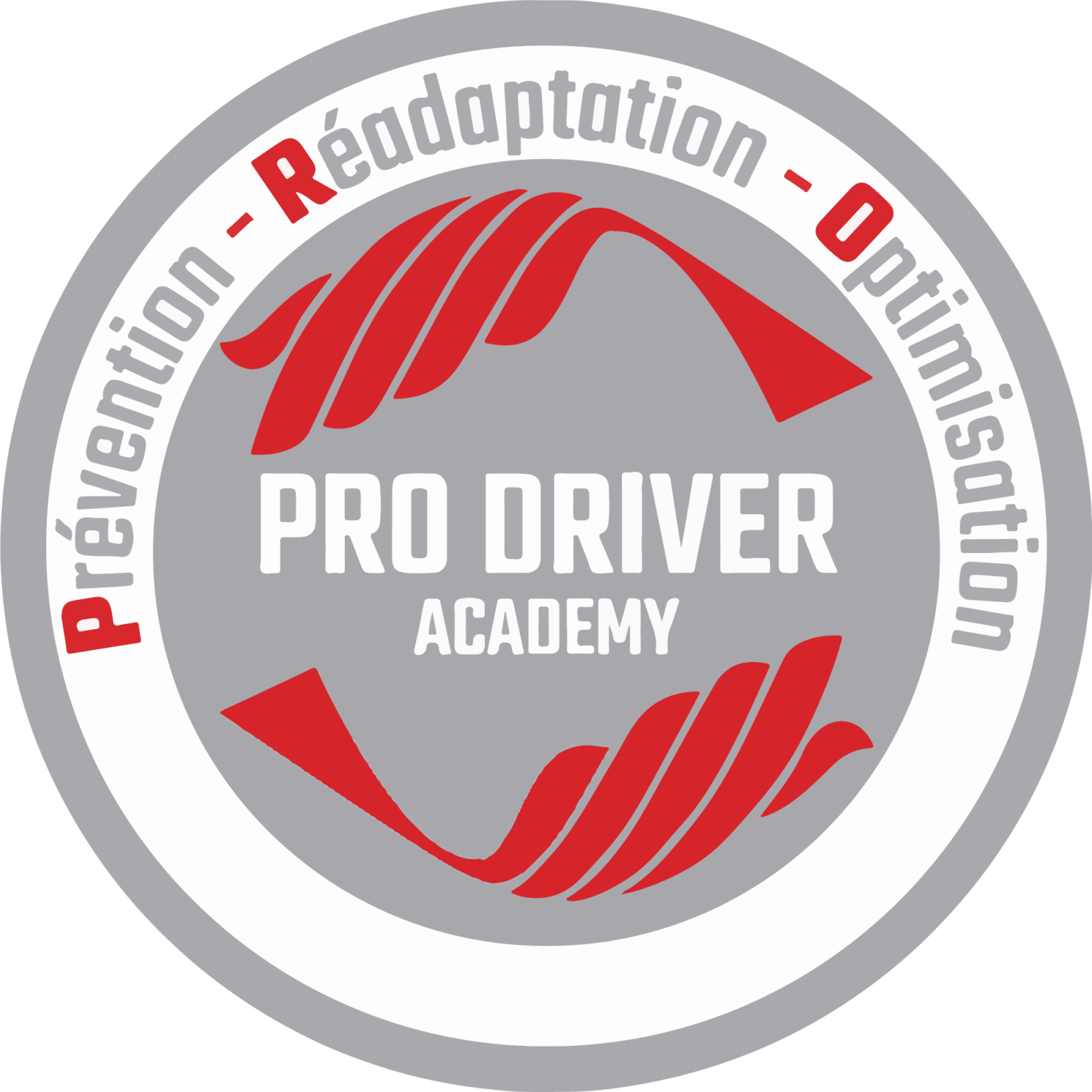 Pro Driver Academy – École de conduite spécialisée dans la formation à ...